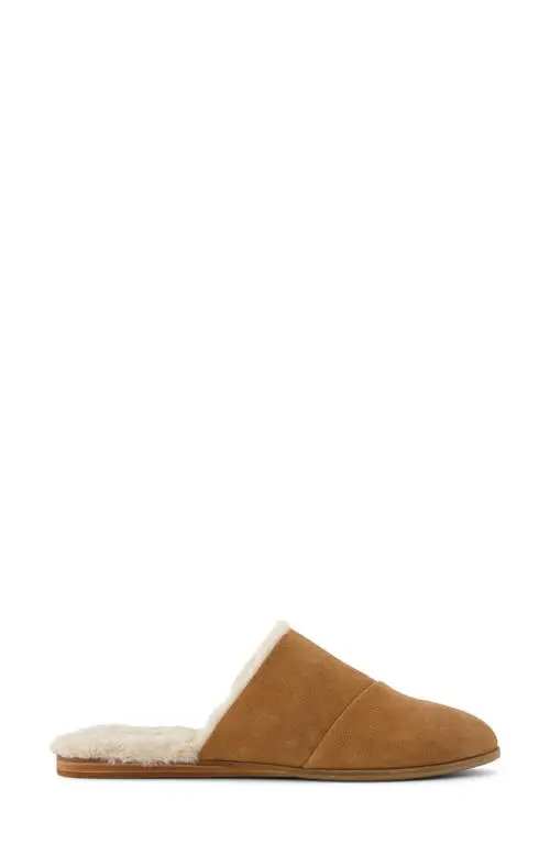 Toms Jade Mule - Brown/faux Fur