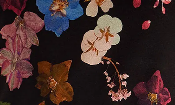 Ted Baker London Beala Floral Fitted T-shirt
