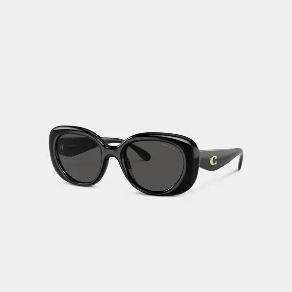 COACH C Hardware Round Sunglasses - Black