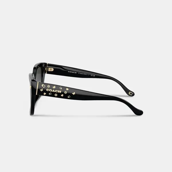 COACH Charms Oversized Square Sunglasses