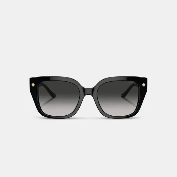 COACH Charms Oversized Square Sunglasses