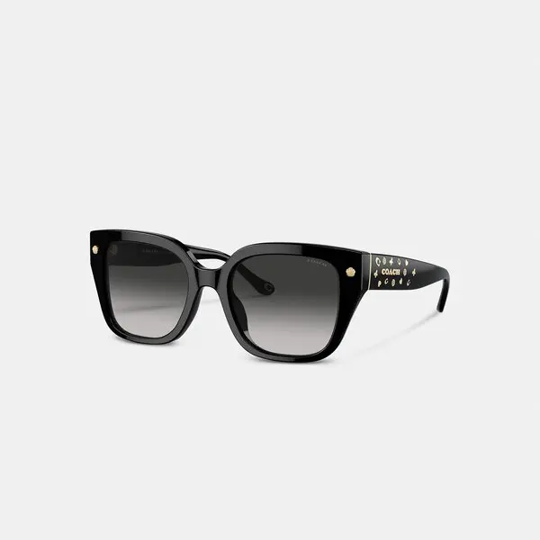 COACH Charms Oversized Square Sunglasses - Black