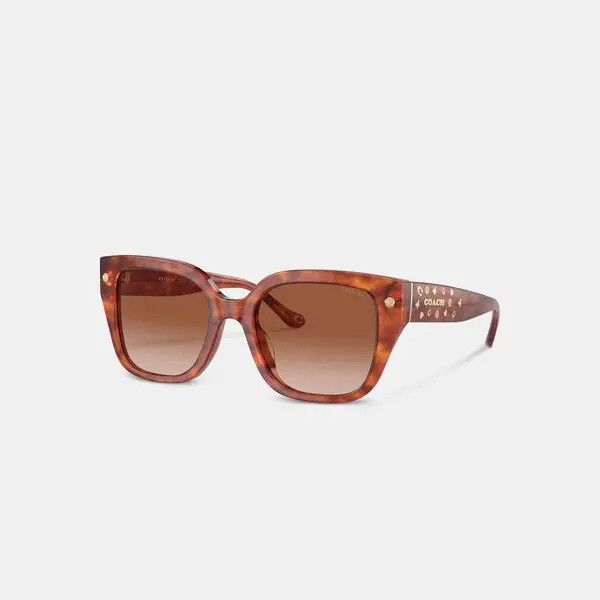 COACH® Charms Oversized Square Sunglasses - Caramel Tortoise