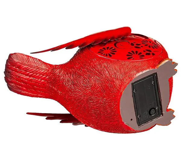 EVERGREEN Solar Engraved Cardinal