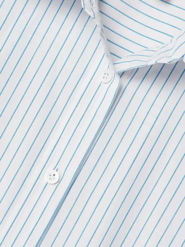Carolina Herrera Oversized Striped Cotton-poplin Shirt