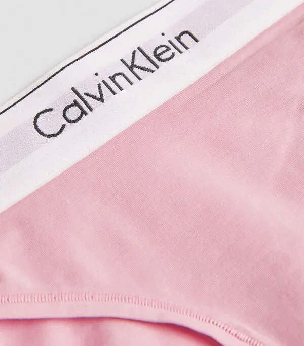 Calvin Klein Modern Cotton Briefs