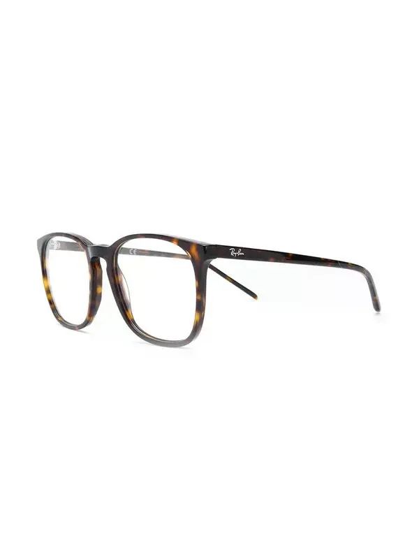 Ray-ban Classic Square Glasses
