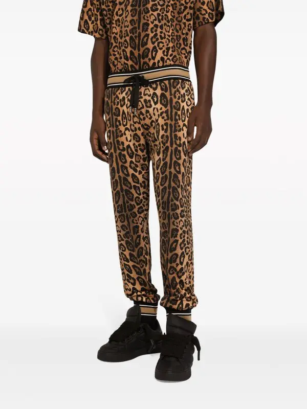 Dolce & Gabbana Leopard-print Cotton Track Pants