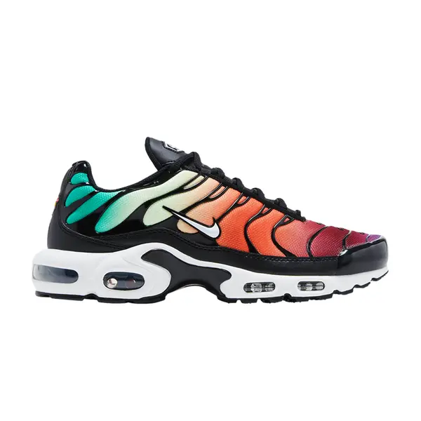 Nike Air Max Plus Sneakers - Multi-color