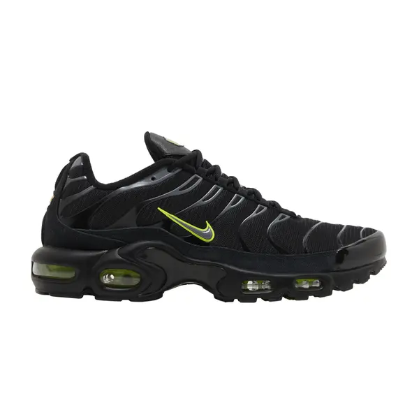 Nike Air Max Plus Sneakers - Black