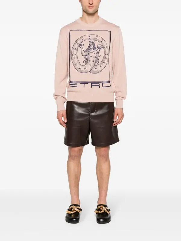 Etro Motif-embroidered Cotton Jumper - Pink