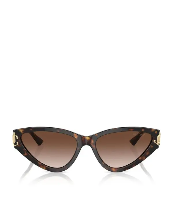 JIMMY CHOO Jc5019 Sunglasses