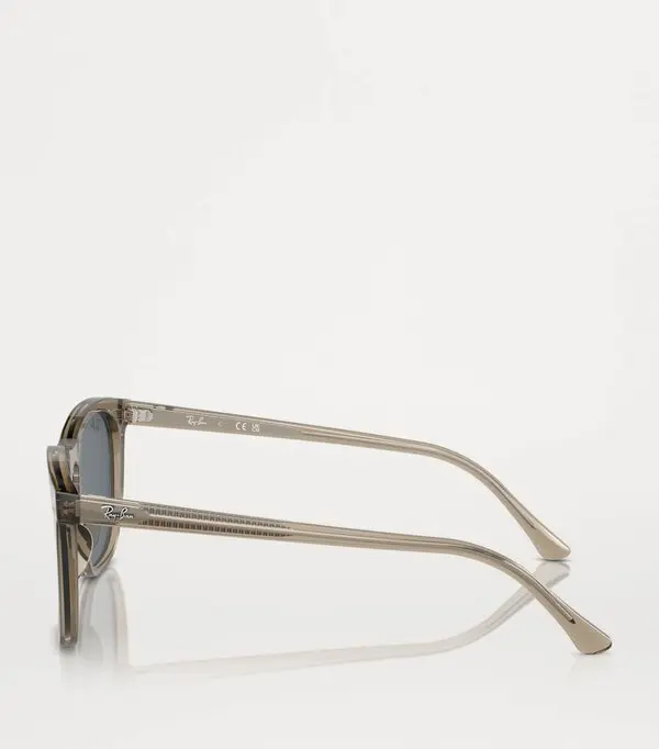 Ray-ban Full Rim Sunglasses - Brown