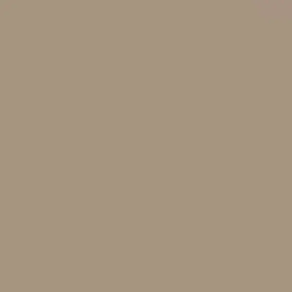 Ray-ban Full Rim Sunglasses - Brown