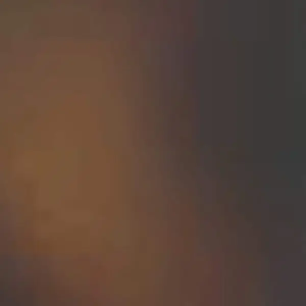 Ray-ban Rectangle Sunglasses - Brown