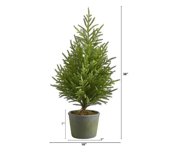 NEARLY NATURAL 3' Norfolk Island Pine 'natural Look' Tree