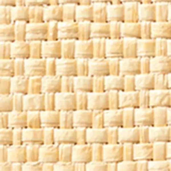 ASPINAL OF LONDON Raffia Mayfair Midi Bag