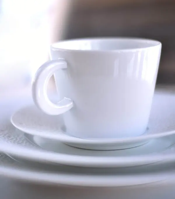 Bernardaud Ecume Teacup And Saucer - White