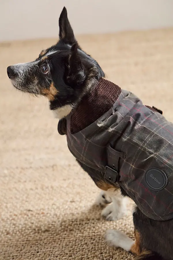 Barbour Wax Dog Coat - Classic Tartan