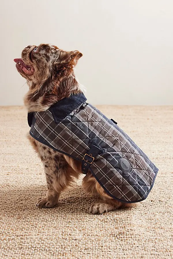 Barbour Tartan Dog Coat - Midnight Oak
