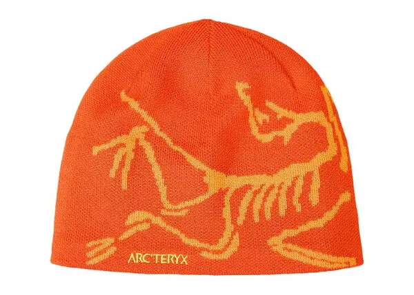 Arc'teryx Bird Head Toque Beanie - Solaris/edziza