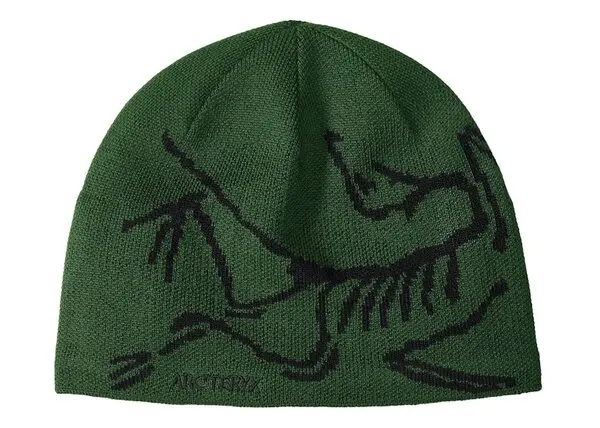 Arc'teryx Bird Head Toque Beanie - Eden/black