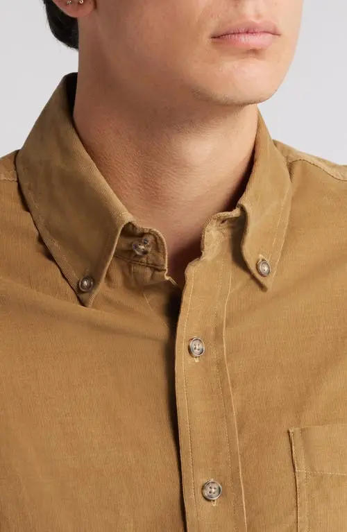 SCHOTT Pinwale Corduroy Button Down Shirt - Khaki