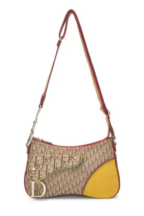 Dior Trotter Canvas Rasta Double Saddle Bag - Multi