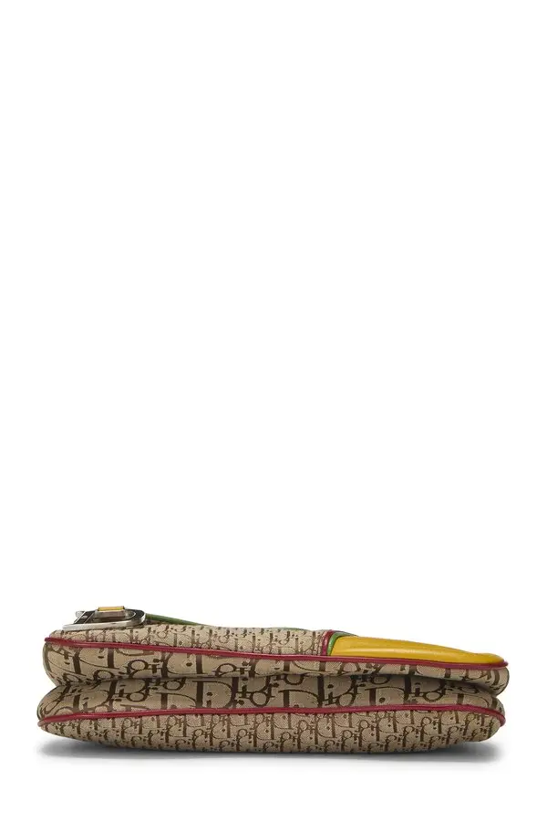 Dior Trotter Canvas Rasta Double Saddle Bag