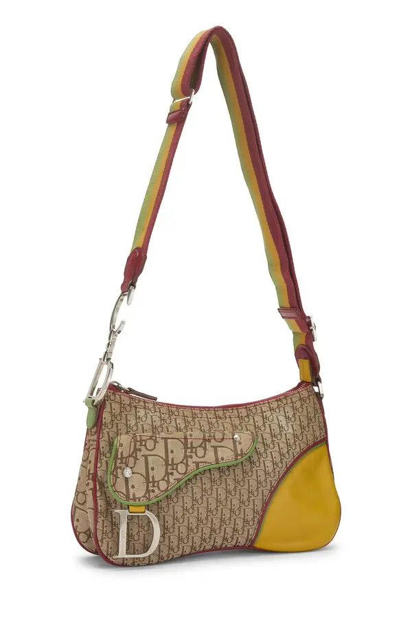 Dior Trotter Canvas Rasta Double Saddle Bag