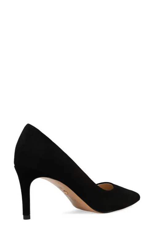 Pelle Moda Lizel 2 Pointed Toe Pump - Black