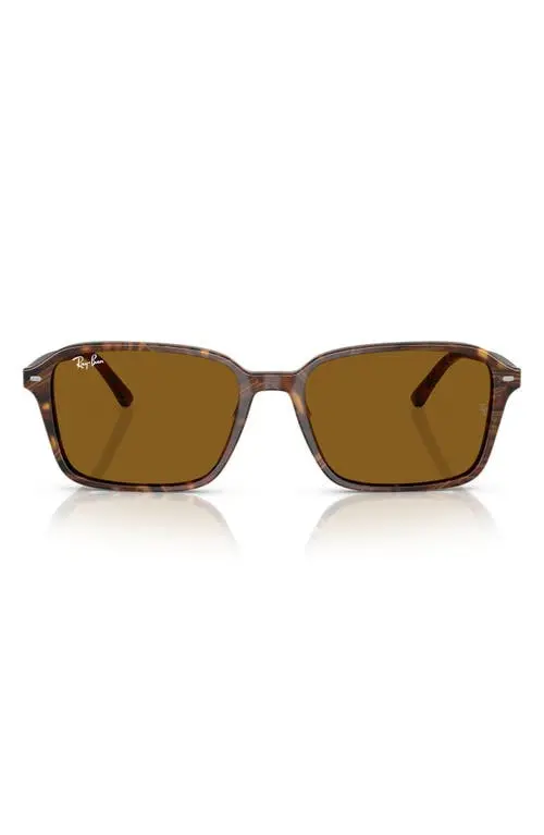 Ray-ban 58mm Square Sunglasses - Brown