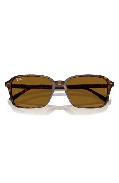 Ray-ban 58mm Square Sunglasses - Brown