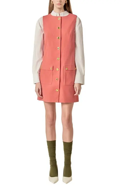 English Factory Sleeveless Velvet Mini Dress - Rose