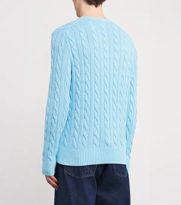 Polo Ralph Lauren Cotton Cable-knit Sweater - Blue