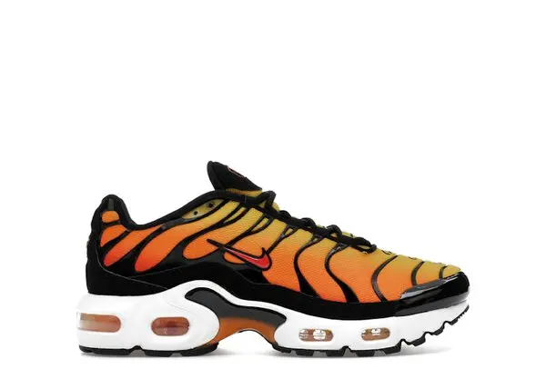 Nike Air Max Plus Sneakers