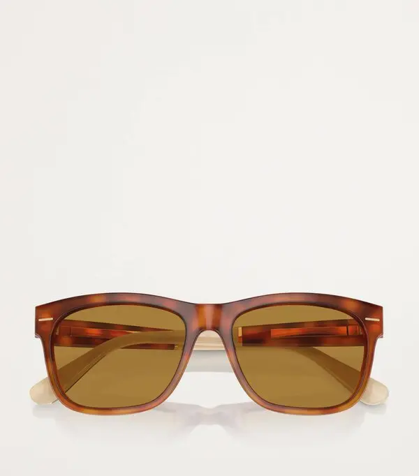 Brunello Cucinelli Acetate Bc4003s Sunglasses - Brown