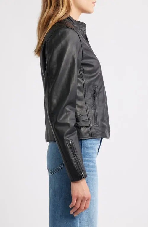 SCHOTT Cafe Racer Leather Jacket