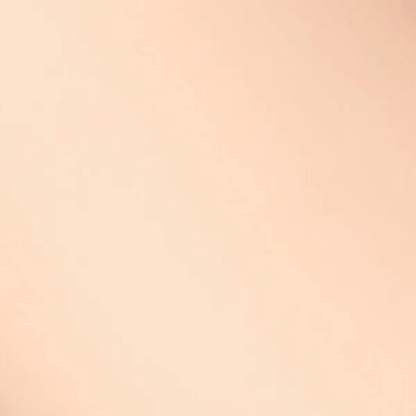 Dior Le Cushion Teint De Rose Foundation Refill - Nude