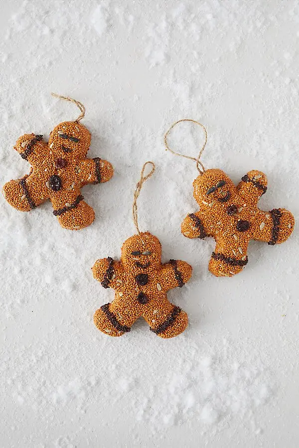 MR. BIRD Terra Bird Seed Ggerbread Set Of 3