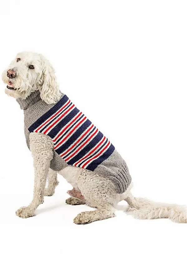 CHILLY DOG Charlie Stripe Dog Sweater