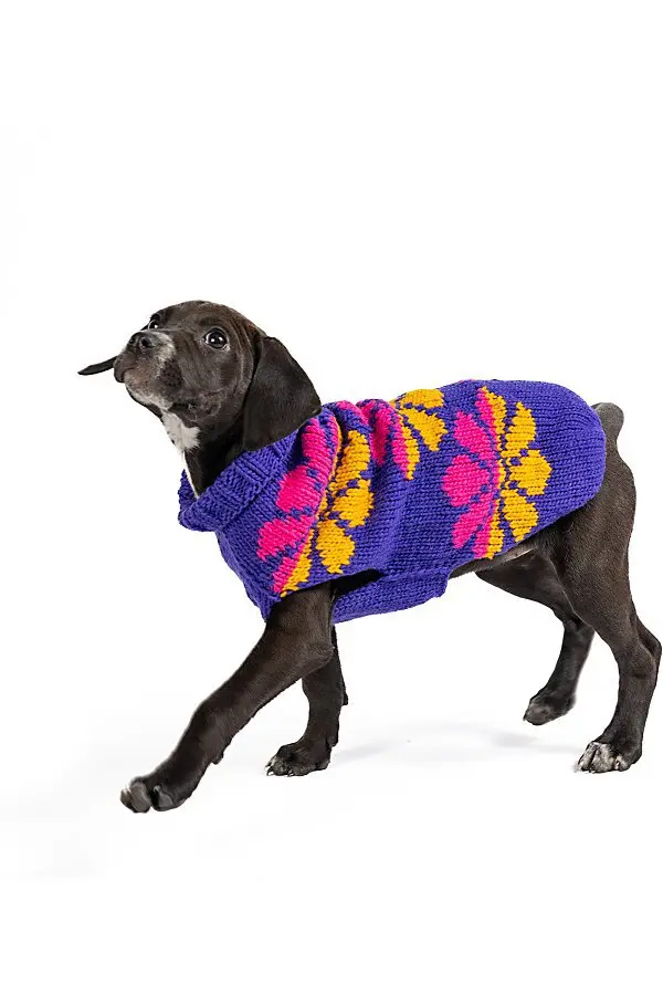 CHILLY DOG Flower Power Dog Sweater