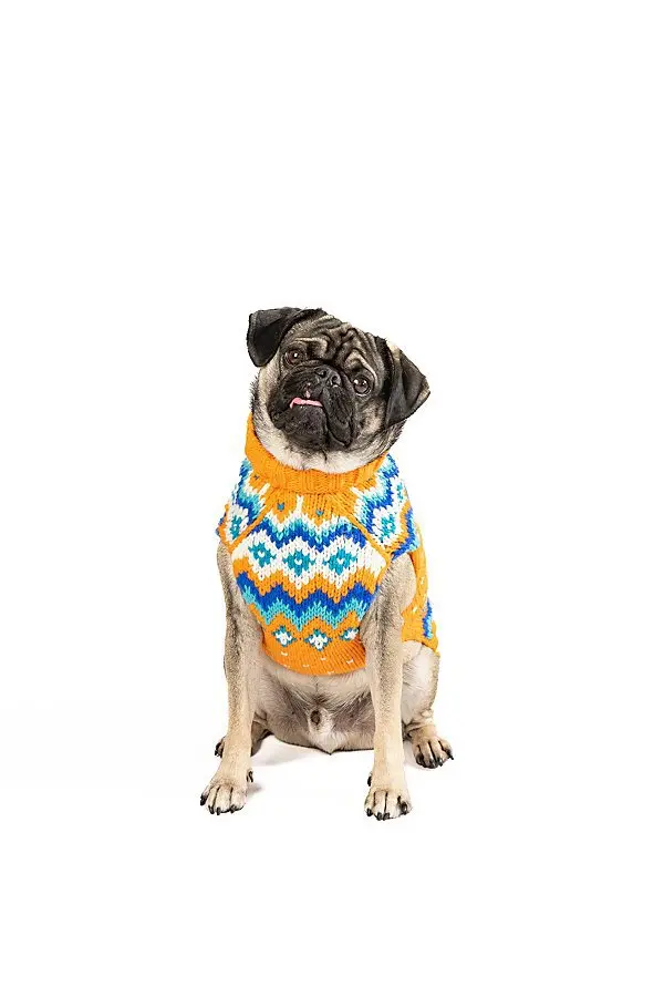 CHILLY DOG Artic Amber Fairisle Dog Sweater