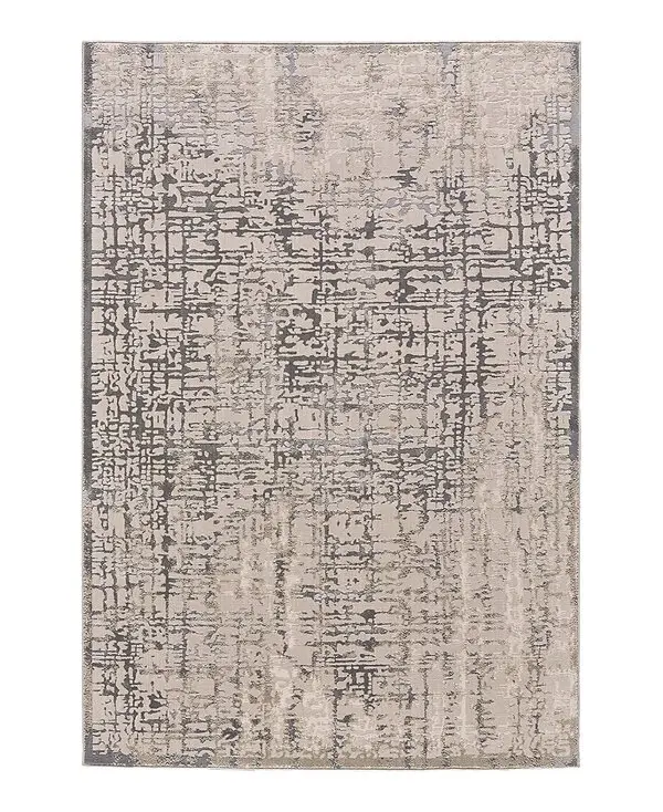 FEIZY Prasad 3683f Area Rug, 8' X 11 - Gray