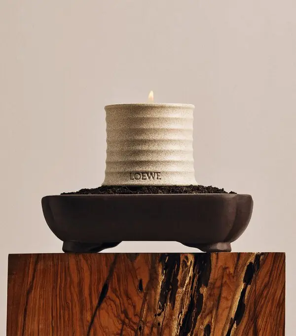 Loewe Tuberose Candle - Multi | Editorialist