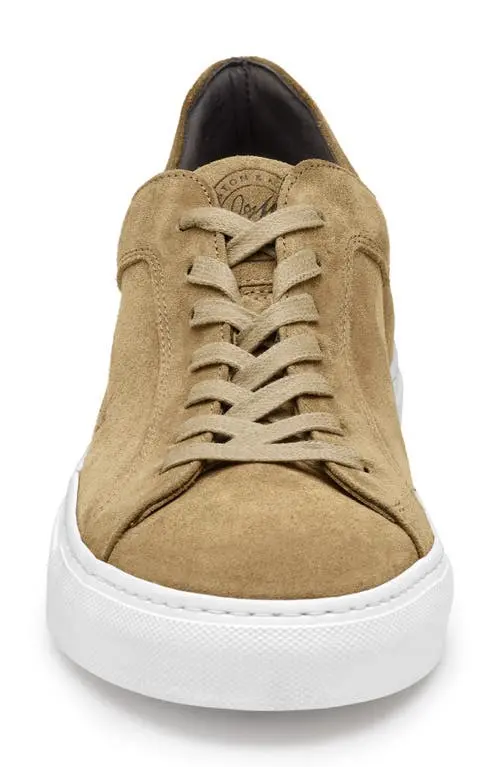 Johnston & Murphy Jared Lace-to-toe Sneakers