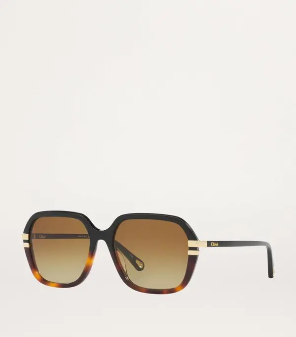 Chloé Acetate Sunglasses - Black