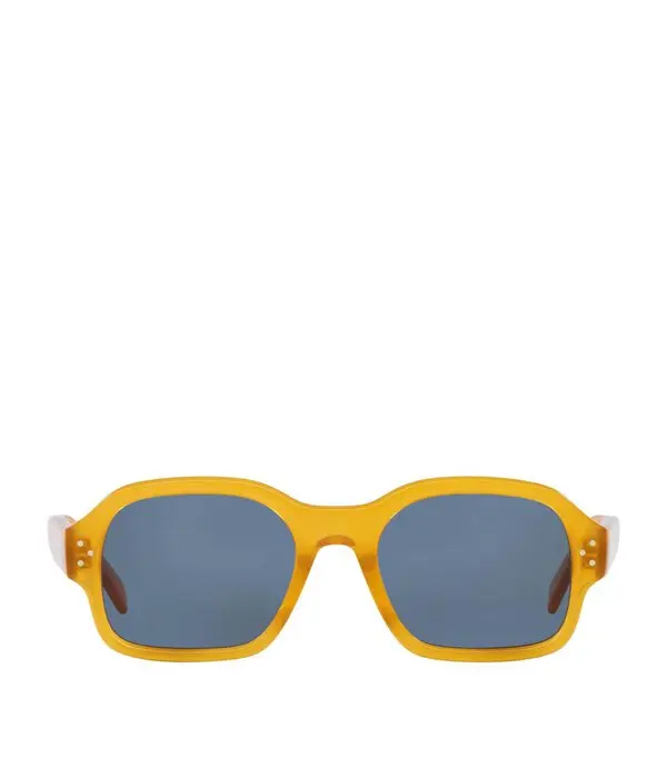 Celine Acetate 0cl000410 Sunglasses - Brown