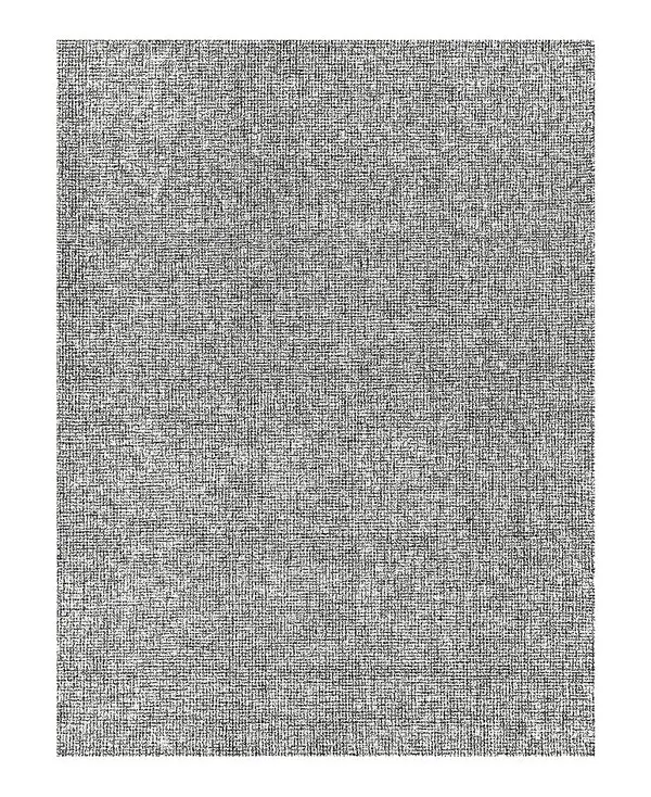 EXQUISITE RUGS Caprice 4765 Area Rug, 2' X 3 - Black/ivory