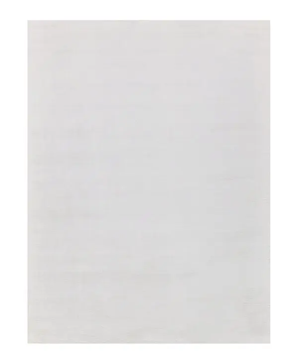 EXQUISITE RUGS Velutto Modern 6537 Area Rug, 2' X 3